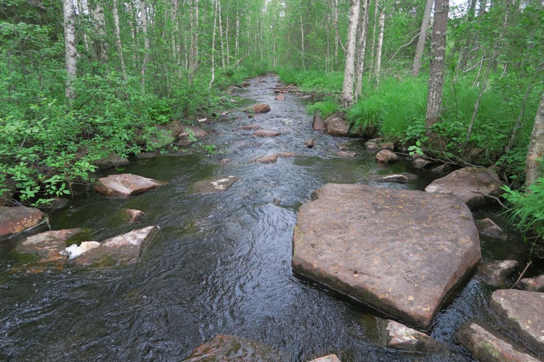 Stora Enso and Metsähallitus Parks & Wildlife Finland signed EUR 1.1 ...