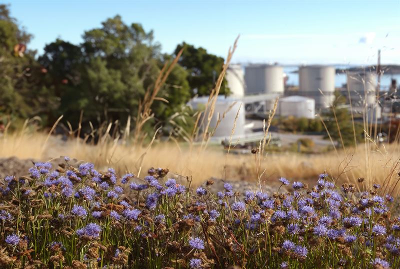 Nynas lead on sustainability – independent study rates Nynas products ...