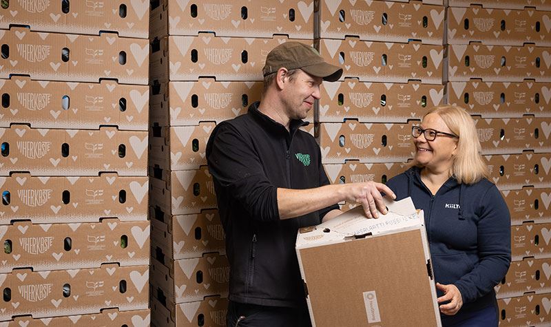 Viherkaste-800x800 - Kiilto