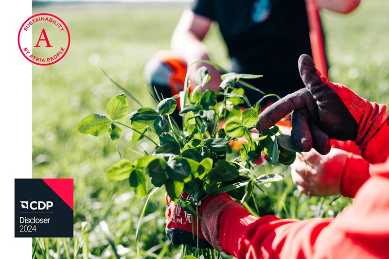 Atria improved its ranking in CDP's 2024 Climate Change assessment ...