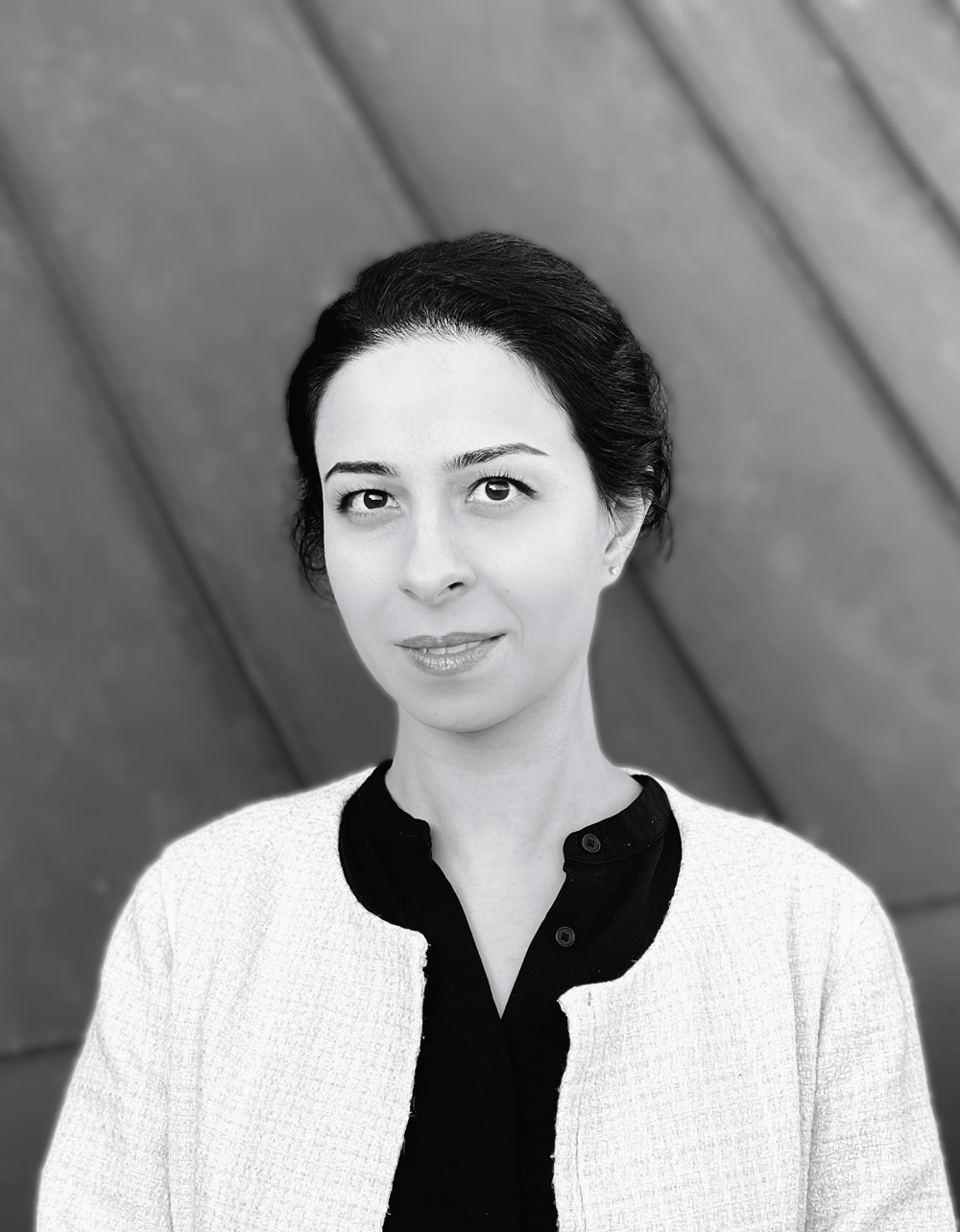 BSX launches the Future of CSD technology with Vermiculus