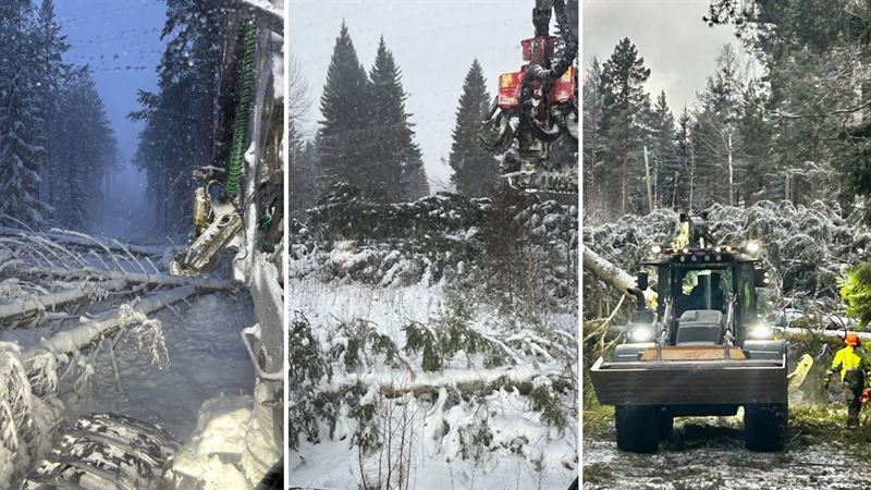 Uppdatering stormen Johannes: Kraftigt snöfall försvårar arbetet - Ellevio