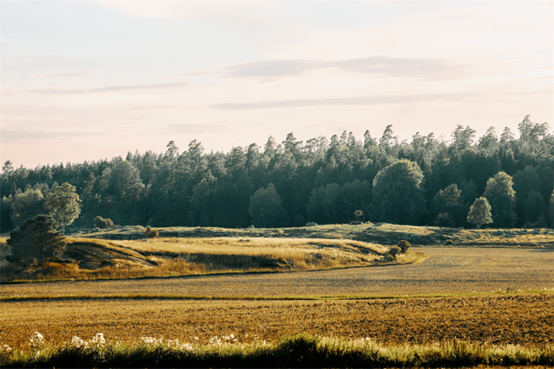 Scan Sverige - Scan Sverige AB