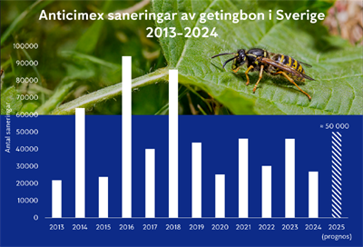 Fler getingar i sommar – så skyddar du huset - Anticimex AB
