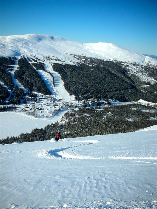 Offpiståkning Bydalen - Destination Bydalsfjällen