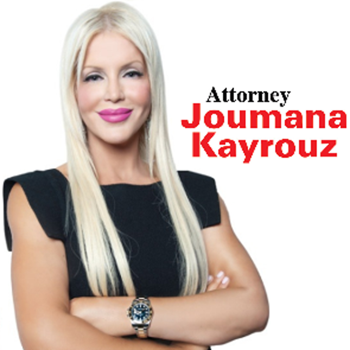 Prominent Michigan Accident Attorney Joumana Kayrouz Urges Legislators ...